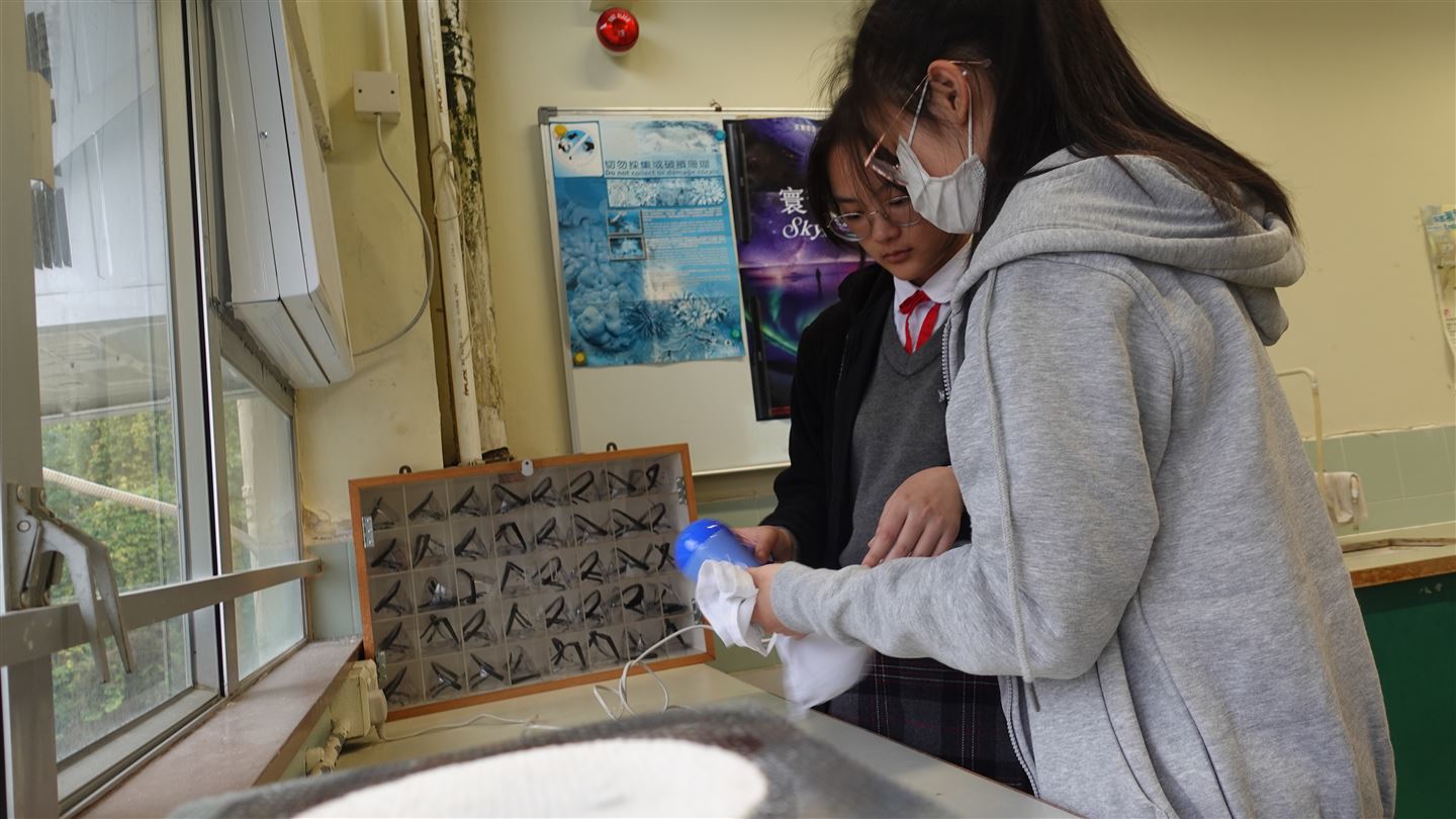 Plastic Free Sea Workshop